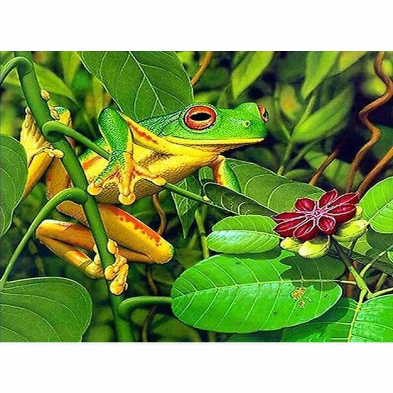 Frog Diamond Painting Kits – Diamond Art Kits Australia