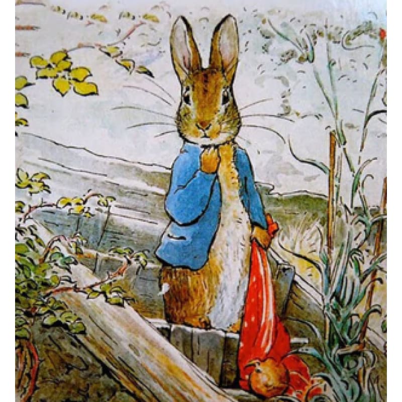 Peter Rabbit – Diamond Art Kits Australia